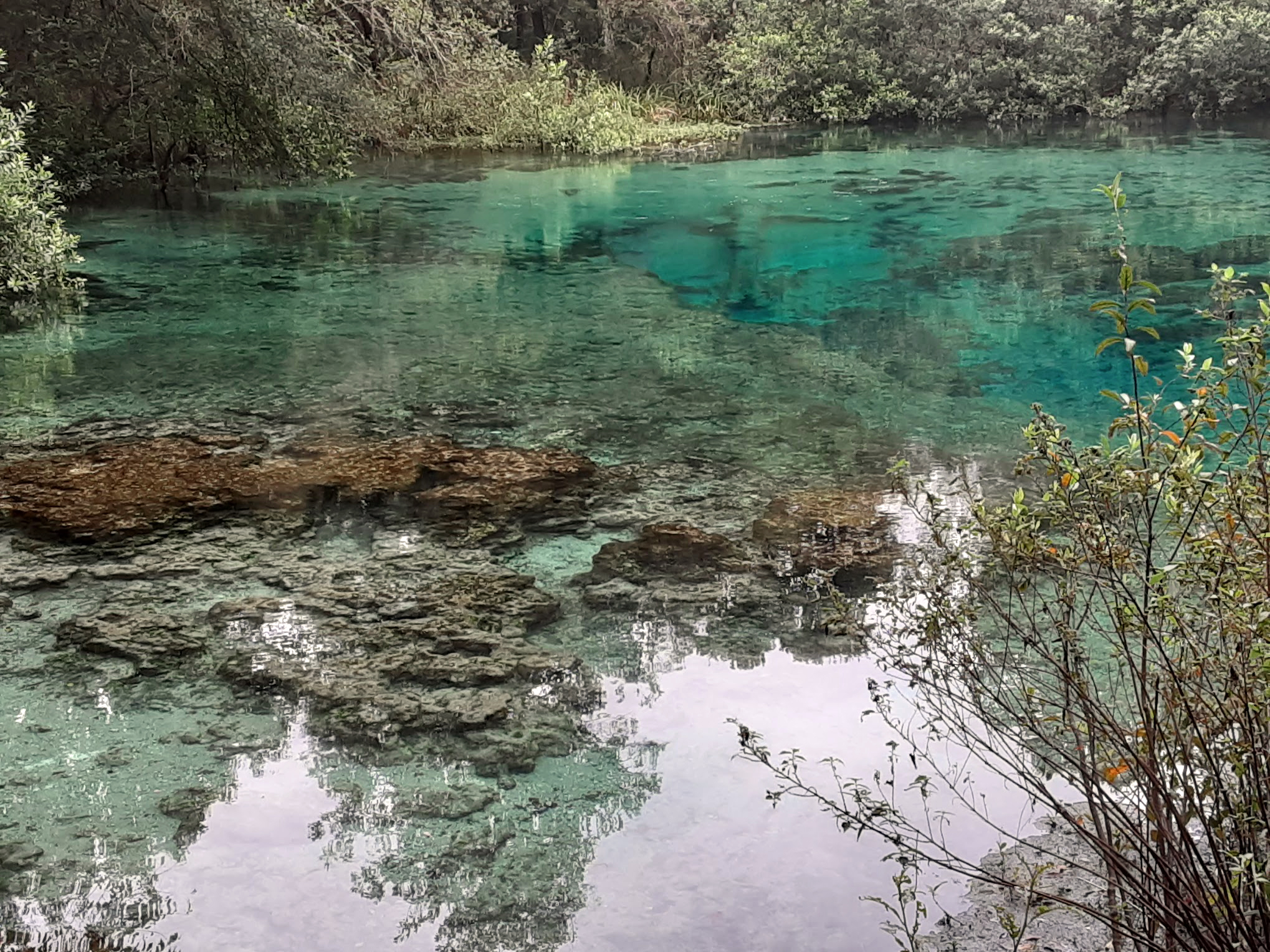 Protecting Ichetucknee Springs Requires More Than Limits on Tubing